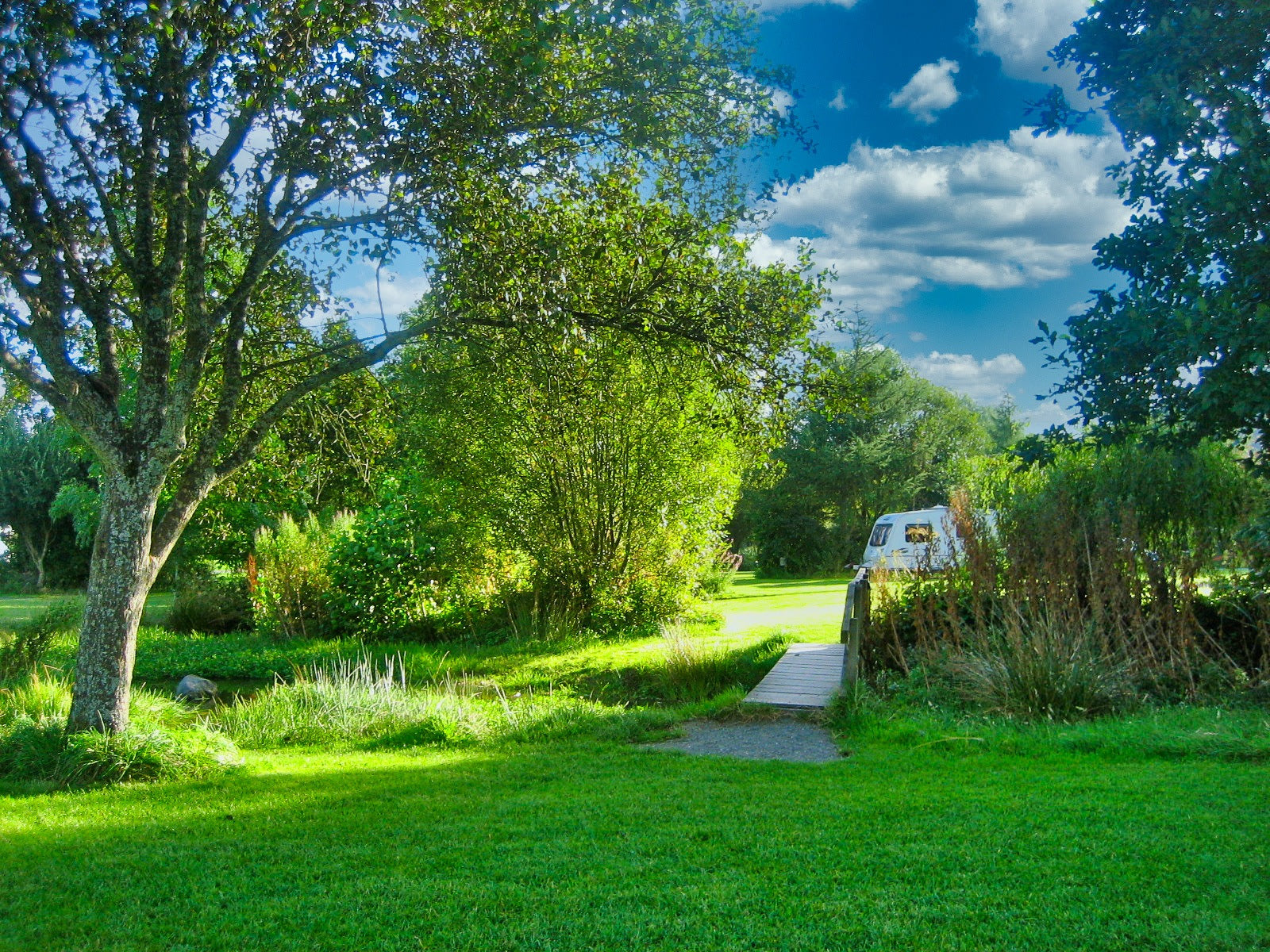 Camping & Touring – Fforest Fields